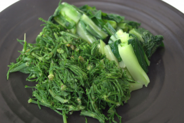 栄養豊富なスギナを食べる！実食した際の味や安全な食べ方を紹介 -Food for Well-being-かわしま屋